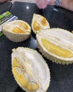 The Different Durian Varieties and Types of Durian Explained