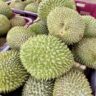 13 Exotic Asian Fruits You Need to Try (A Local’s Guide)